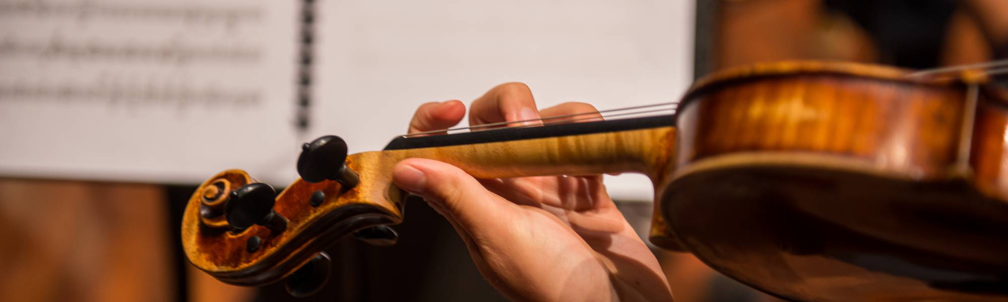 Raad van Toezicht - NJON